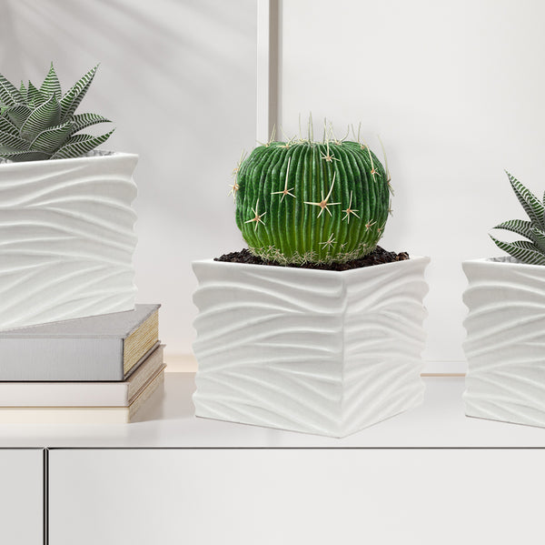 Ceramic Cube Planter Wholesale Case
