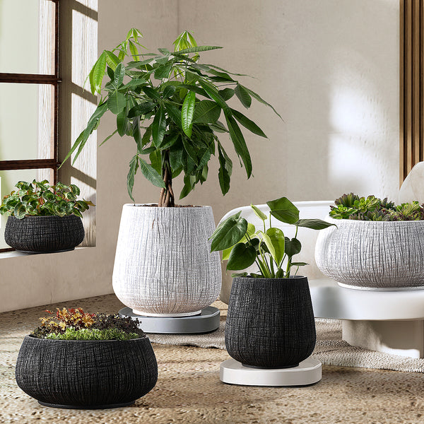 Zen Collection of Polyresin Floor Planters - Wholesale Case